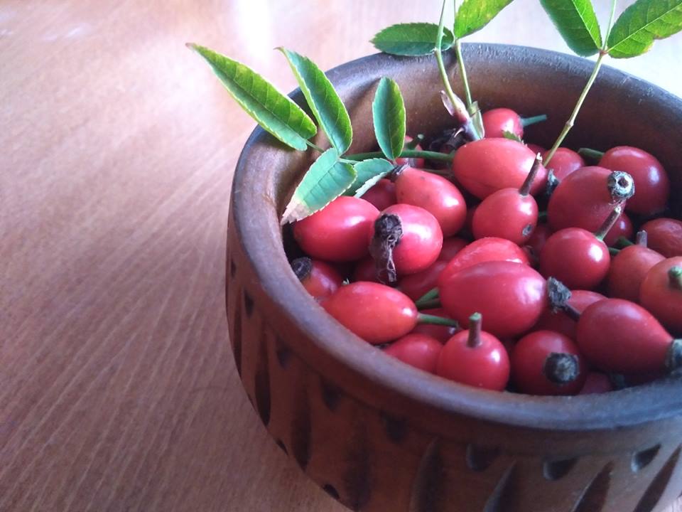 About us – ANOINT LTD.